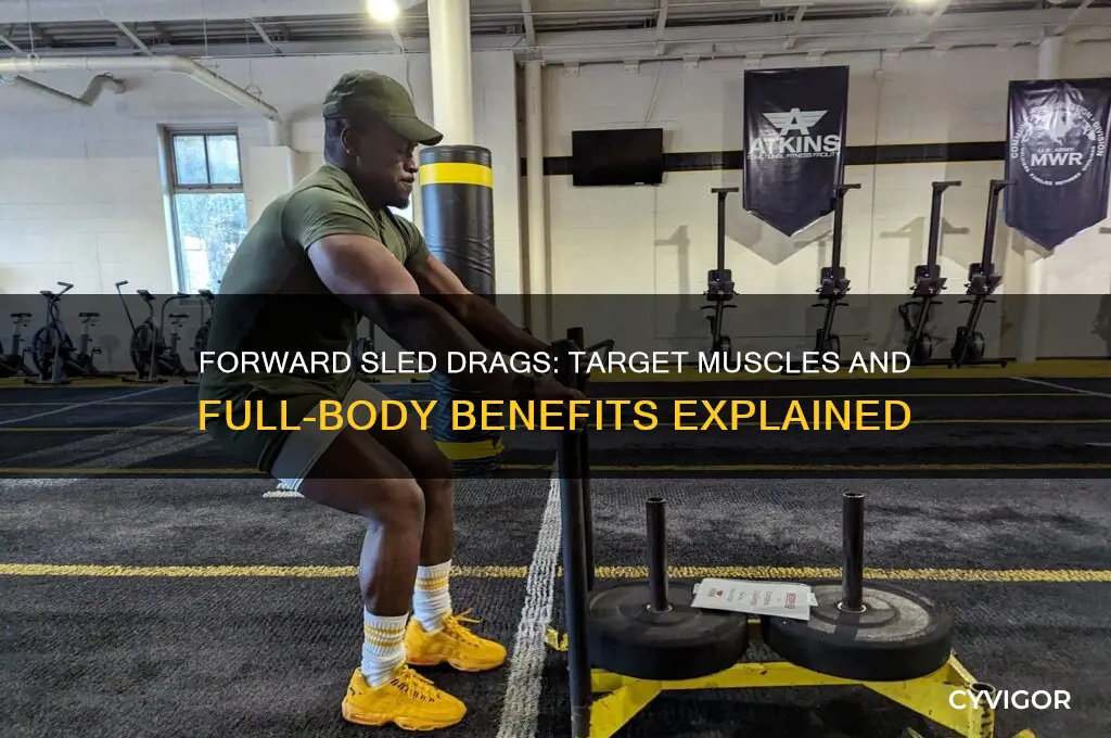 Forward Sled Drags: Target Muscles And Full-Body Benefits Explained ...