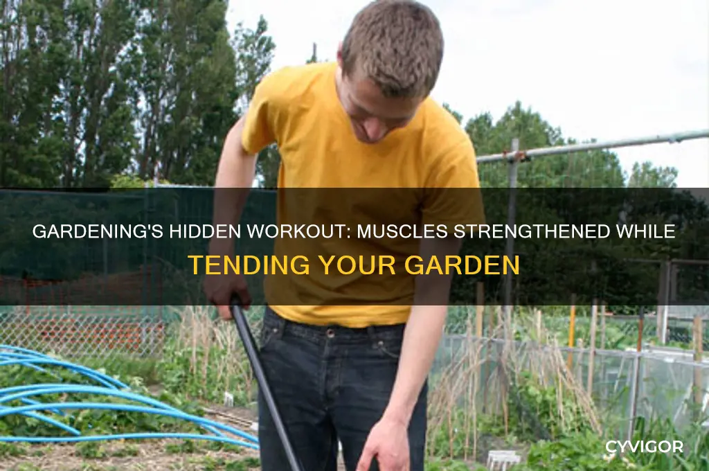 Gardening's Hidden Workout: Muscles Strengthened While Tending Your ...