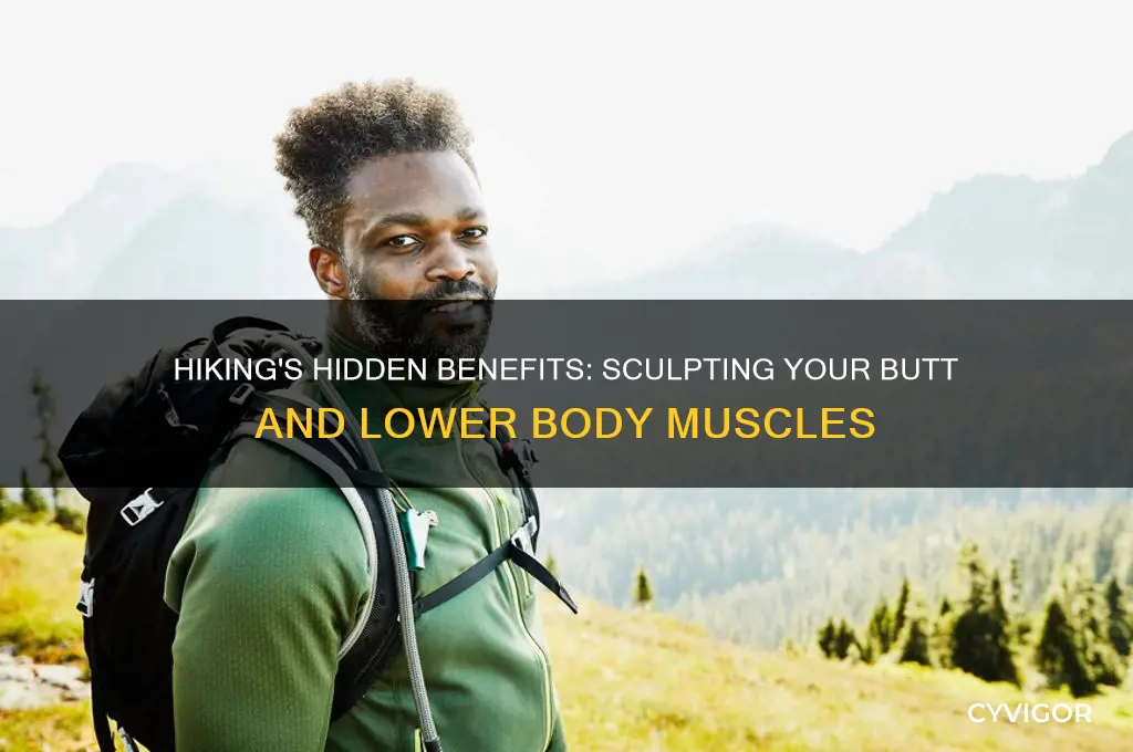 Hiking's Hidden Benefits: Sculpting Your Butt And Lower Body Muscles ...