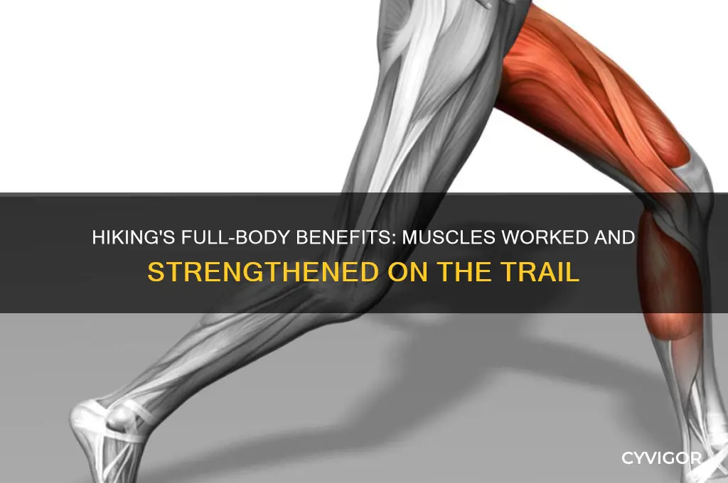 Hiking's Full-Body Benefits: Muscles Worked And Strengthened On The ...
