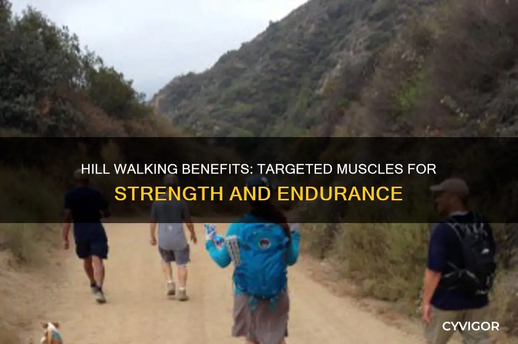 Hill Walking Benefits: Targeted Muscles For Strength And Endurance ...