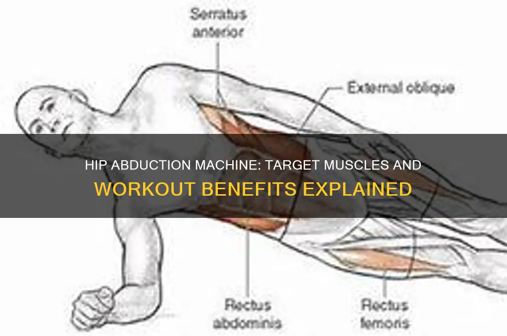 Hip Abduction Machine: Target Muscles And Workout Benefits Explained ...