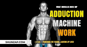 Hanging From A Bar: Targeted Muscles And Strength Benefits Explained ...