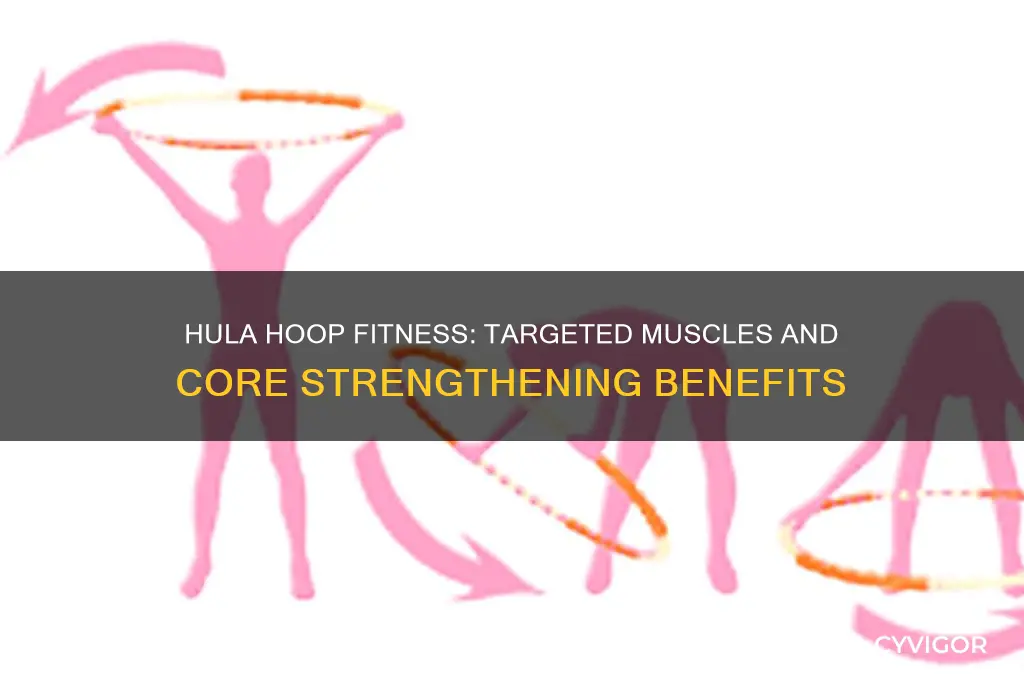 Hula Hoop Fitness: Targeted Muscles And Core Strengthening Benefits ...