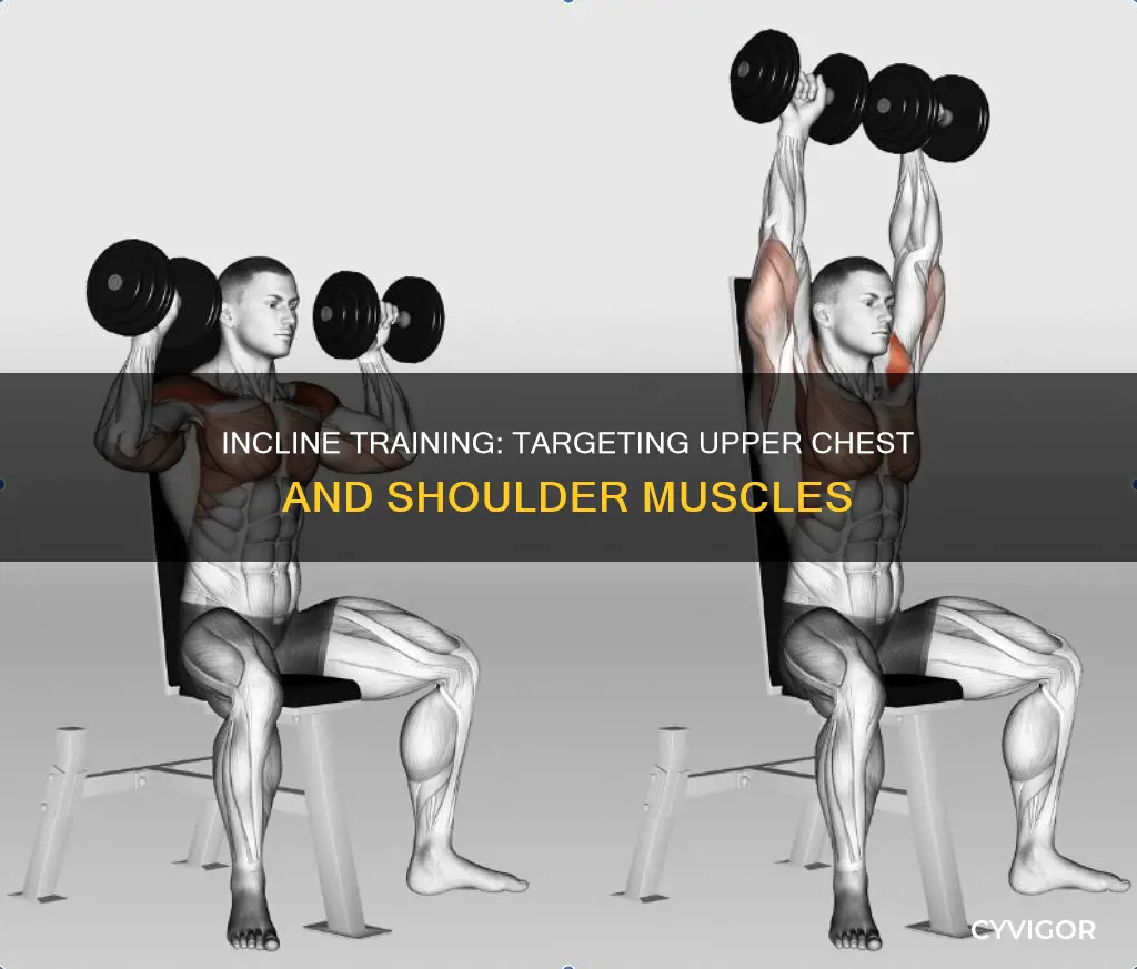Incline Training: Targeting Upper Chest And Shoulder Muscles | CyVigor