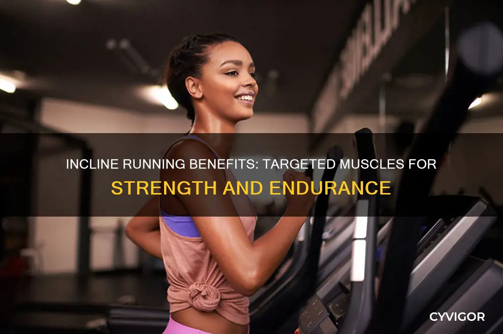 Incline Running Benefits: Targeted Muscles For Strength And Endurance ...