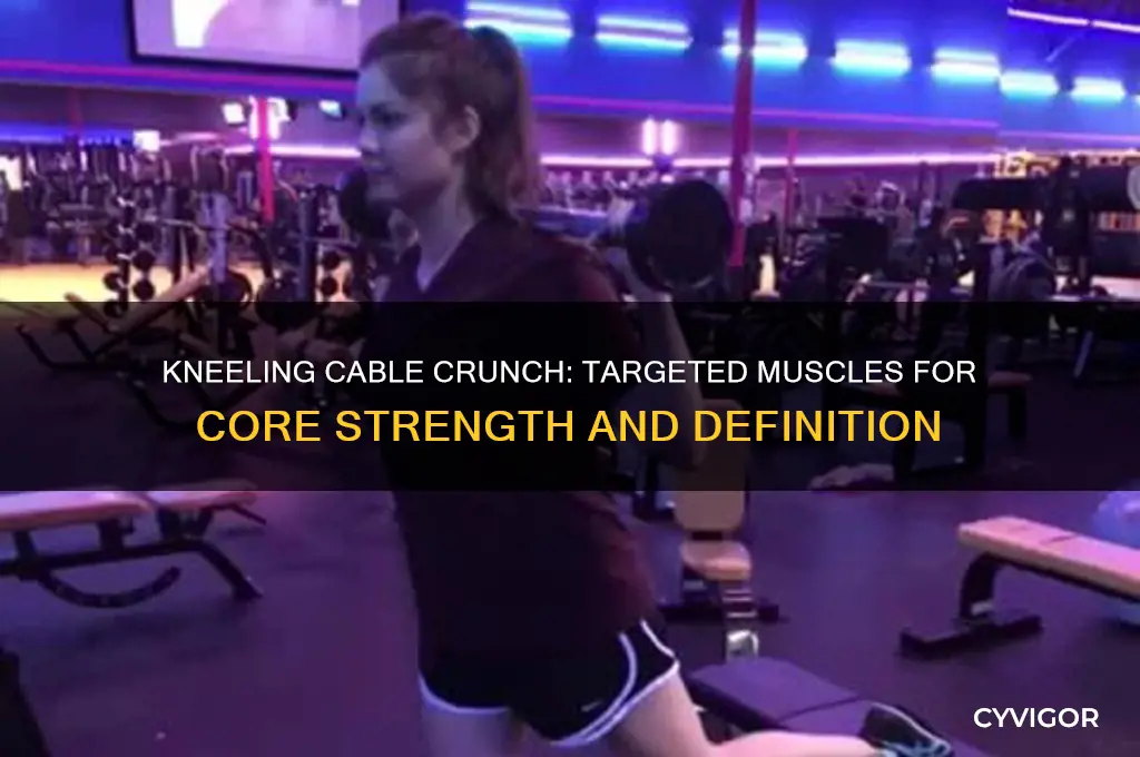 Kneeling Cable Crunch: Targeted Muscles For Core Strength And ...
