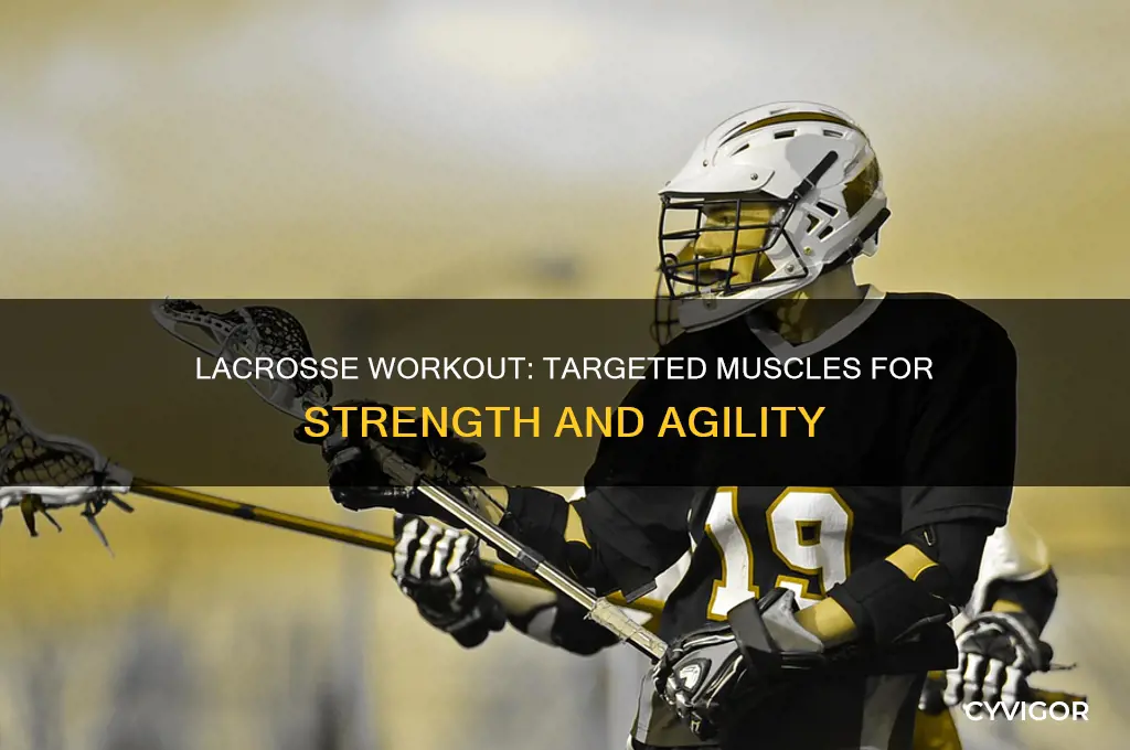 Lacrosse Workout: Targeted Muscles For Strength And Agility | CyVigor