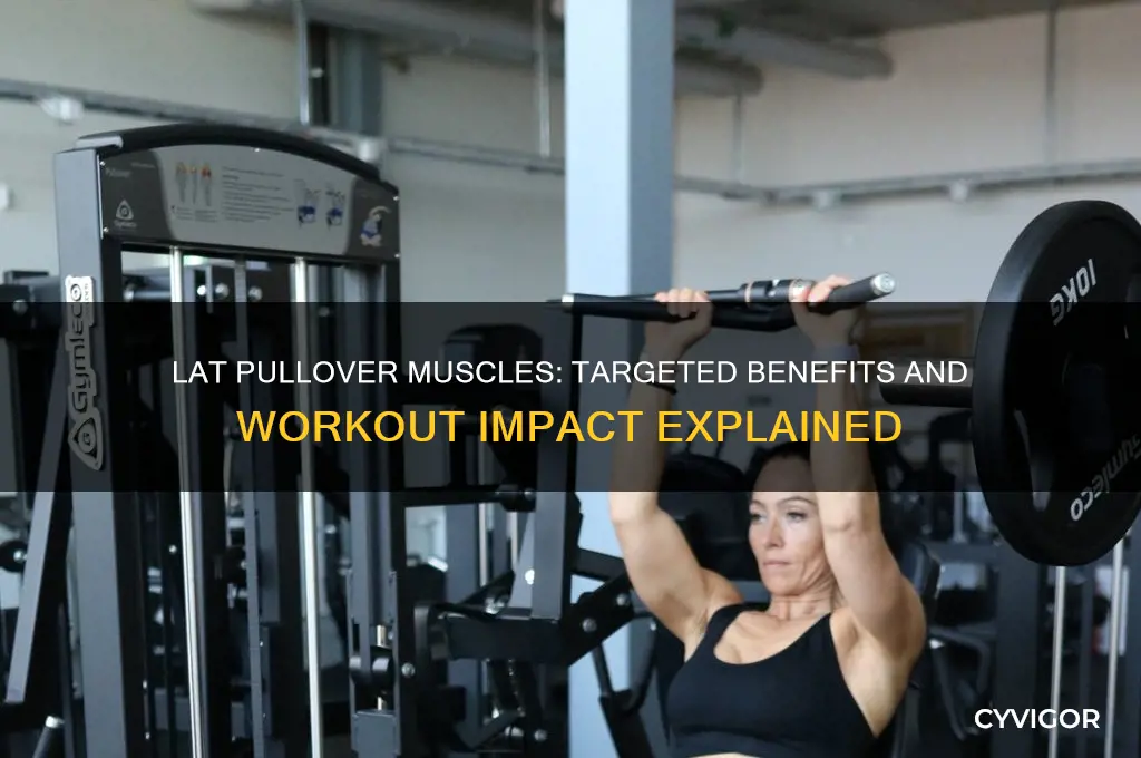 Lat Pullover Muscles: Targeted Benefits And Workout Impact Explained ...