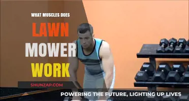 Knees To Chest Exercise: Targeted Muscles And Core Benefits Explained ...