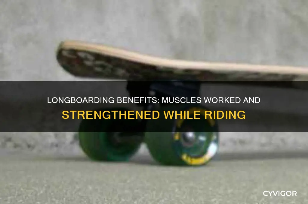 Longboarding Benefits: Muscles Worked And Strengthened While Riding ...