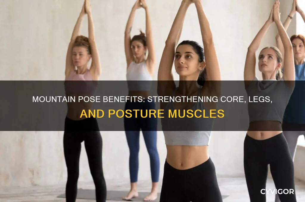 Mountain Pose Benefits: Strengthening Core, Legs, And Posture Muscles ...