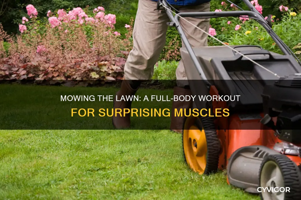 Mowing The Lawn: A Full-Body Workout For Surprising Muscles | CyVigor