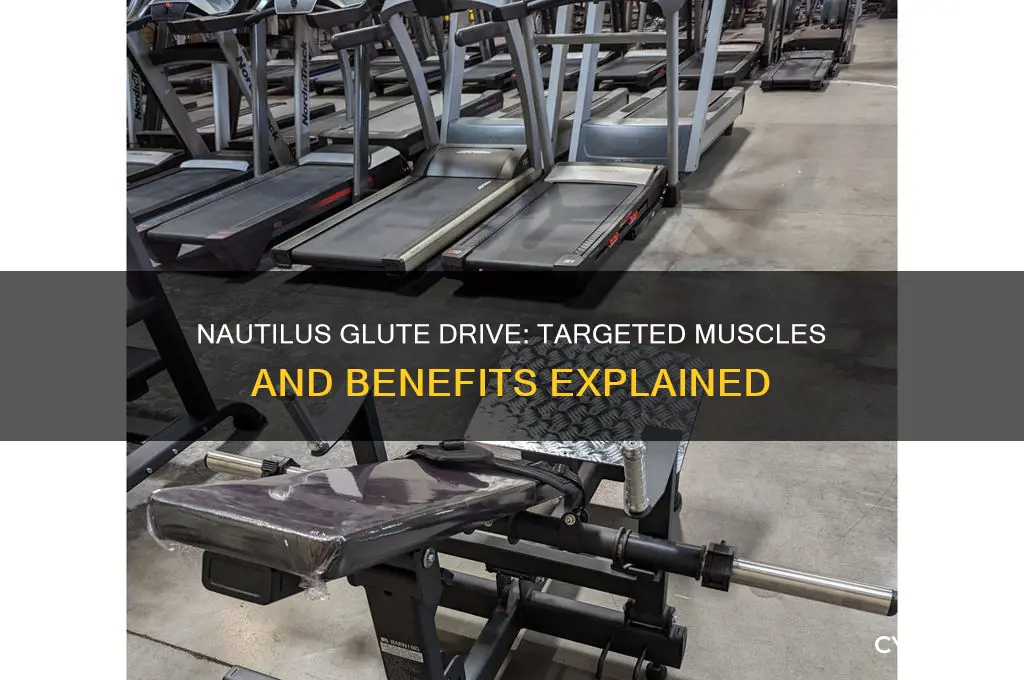 Nautilus Glute Drive: Targeted Muscles And Benefits Explained | CyVigor
