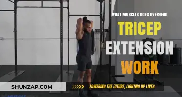 Overhead Shoulder Stretch: Target Muscles And Benefits Explained | CyVigor