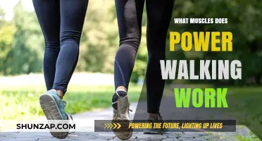 Power Walking Benefits: Targeted Muscles For Strength And Endurance ...