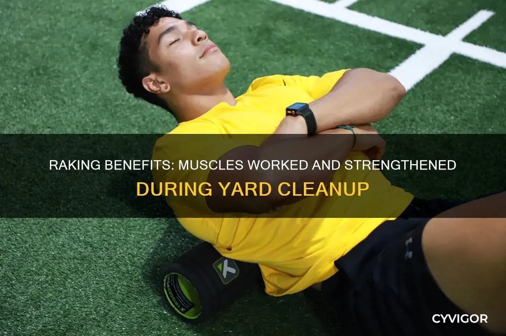 Raking Benefits: Muscles Worked And Strengthened During Yard Cleanup ...