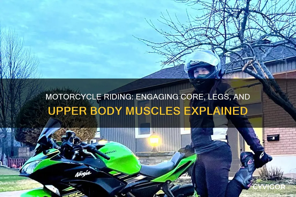 Motorcycle Riding: Engaging Core, Legs, And Upper Body Muscles ...