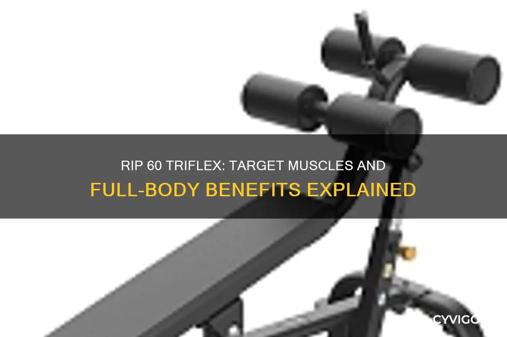 Rip 60 Triflex: Target Muscles And Full-Body Benefits Explained | CyVigor