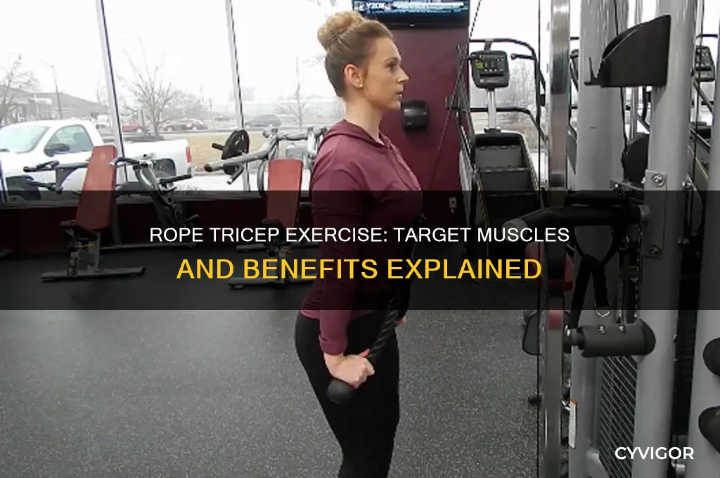 Rope Tricep Exercise: Target Muscles And Benefits Explained | CyVigor