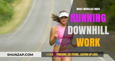 Running Muscles Explained: A Visual Guide To Key Worked Muscles | CyVigor