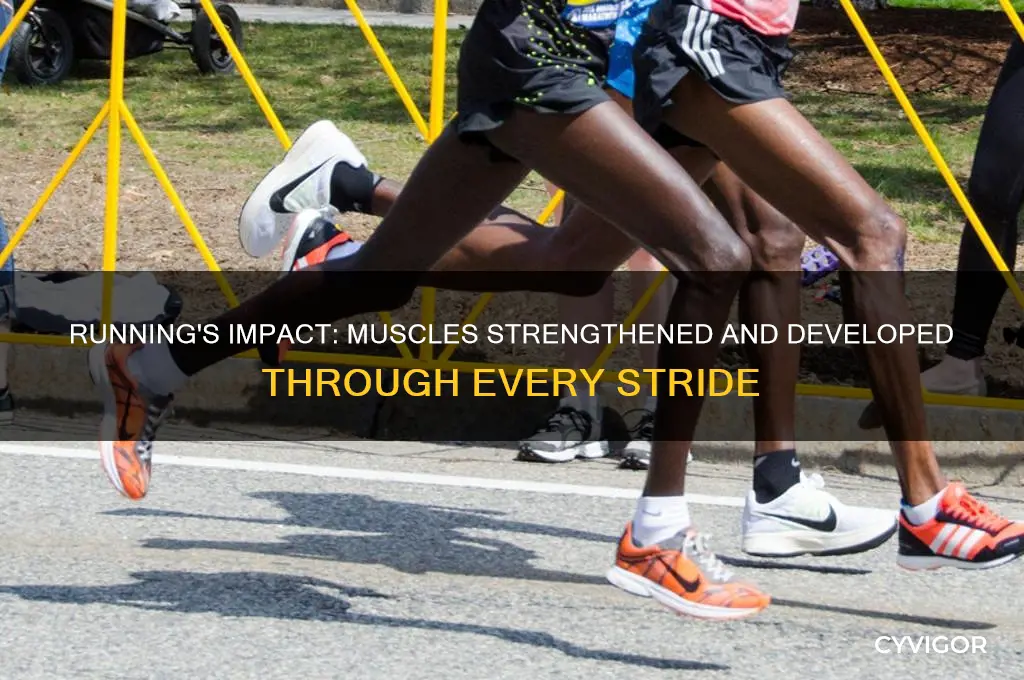 Running's Impact: Muscles Strengthened And Developed Through Every ...