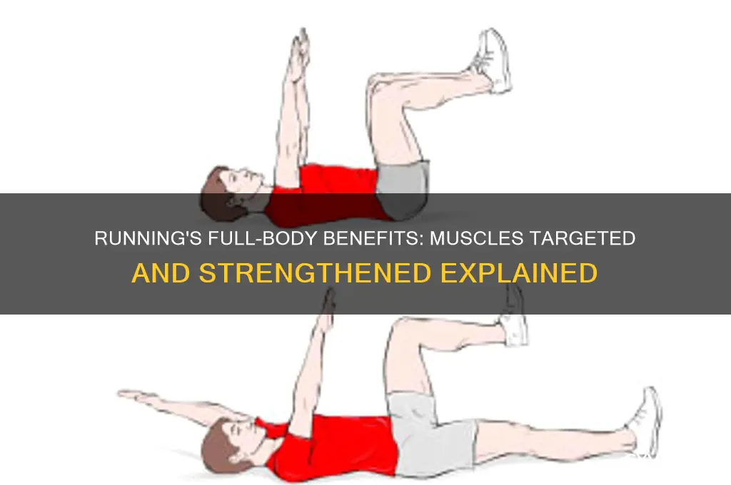 Running's Full-Body Benefits: Muscles Targeted And Strengthened ...