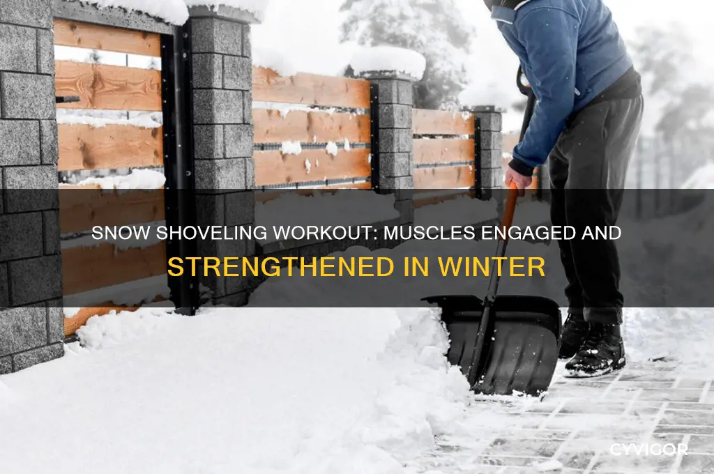 Snow Shoveling Workout: Muscles Engaged And Strengthened In Winter ...