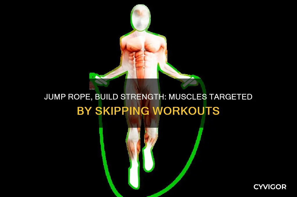 Jump Rope, Build Strength: Muscles Targeted By Skipping Workouts | CyVigor