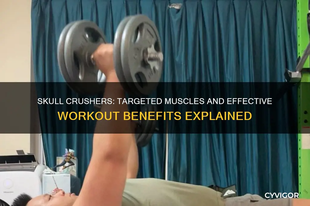 Skull Crushers: Targeted Muscles And Effective Workout Benefits ...