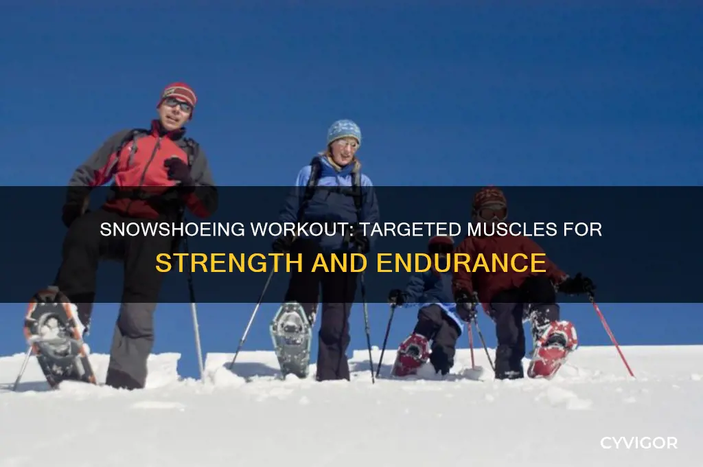 Snowshoeing Workout: Targeted Muscles For Strength And Endurance | CyVigor