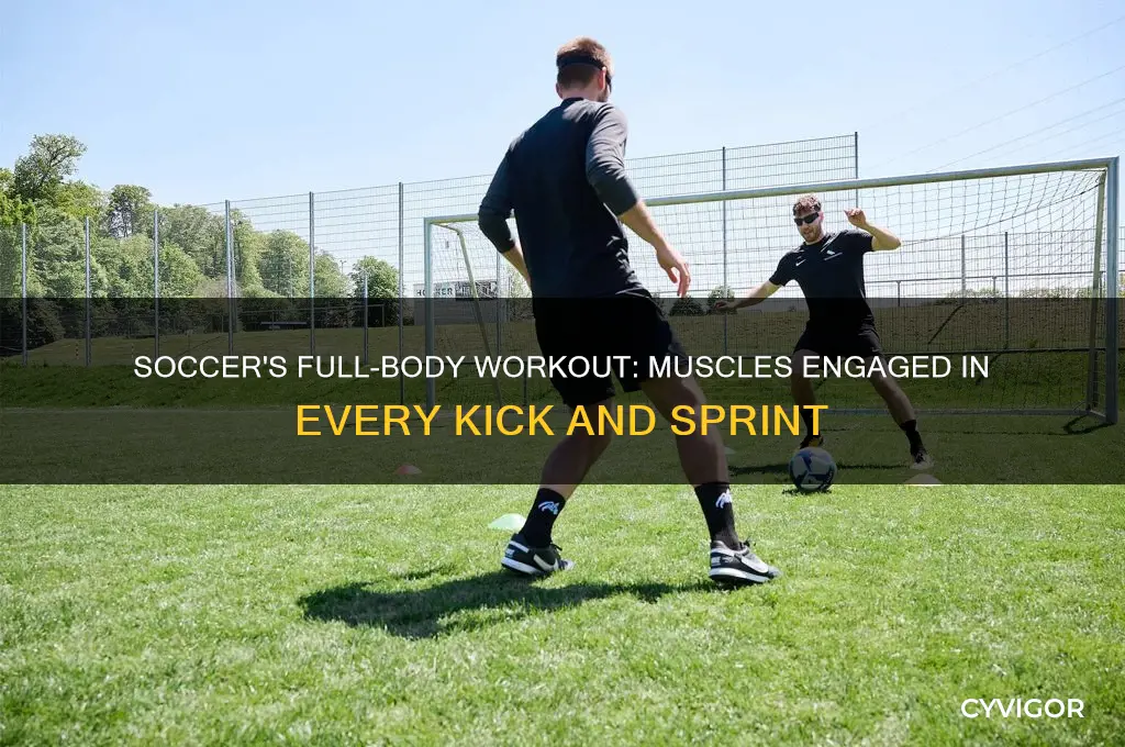 Soccer's Full-Body Workout: Muscles Engaged In Every Kick And Sprint ...