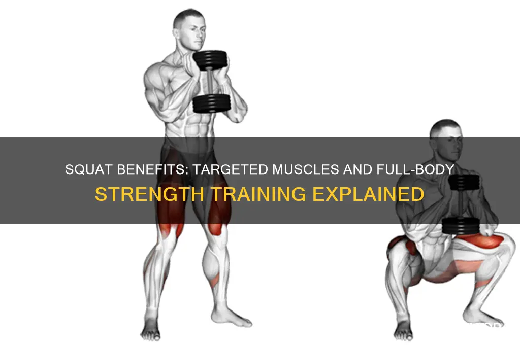 Squat Benefits: Targeted Muscles And Full-Body Strength Training ...