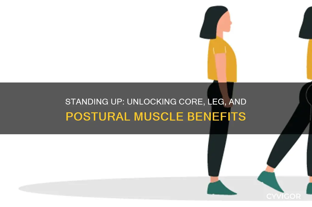Standing Up: Unlocking Core, Leg, And Postural Muscle Benefits | CyVigor