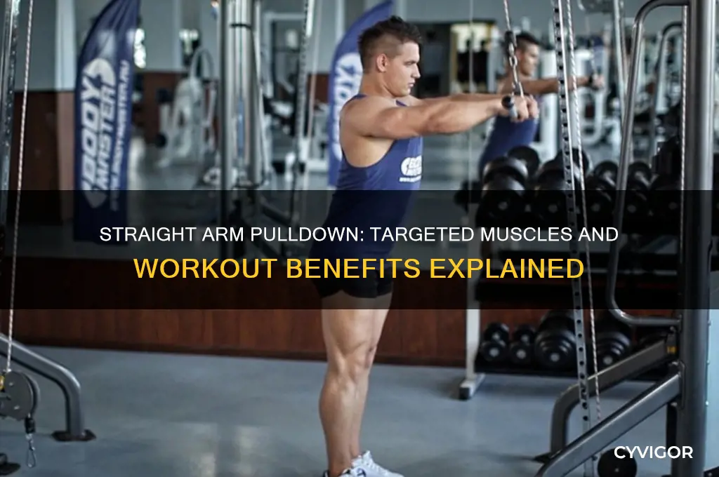 Straight Arm Pulldown: Targeted Muscles And Workout Benefits Explained ...