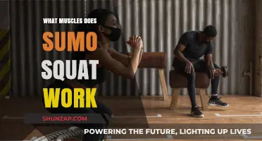 Sumo Squats: Target Muscles And Benefits For Lower Body Strength | CyVigor