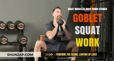 Sumo Squats: Target Muscles And Benefits For Lower Body Strength | CyVigor