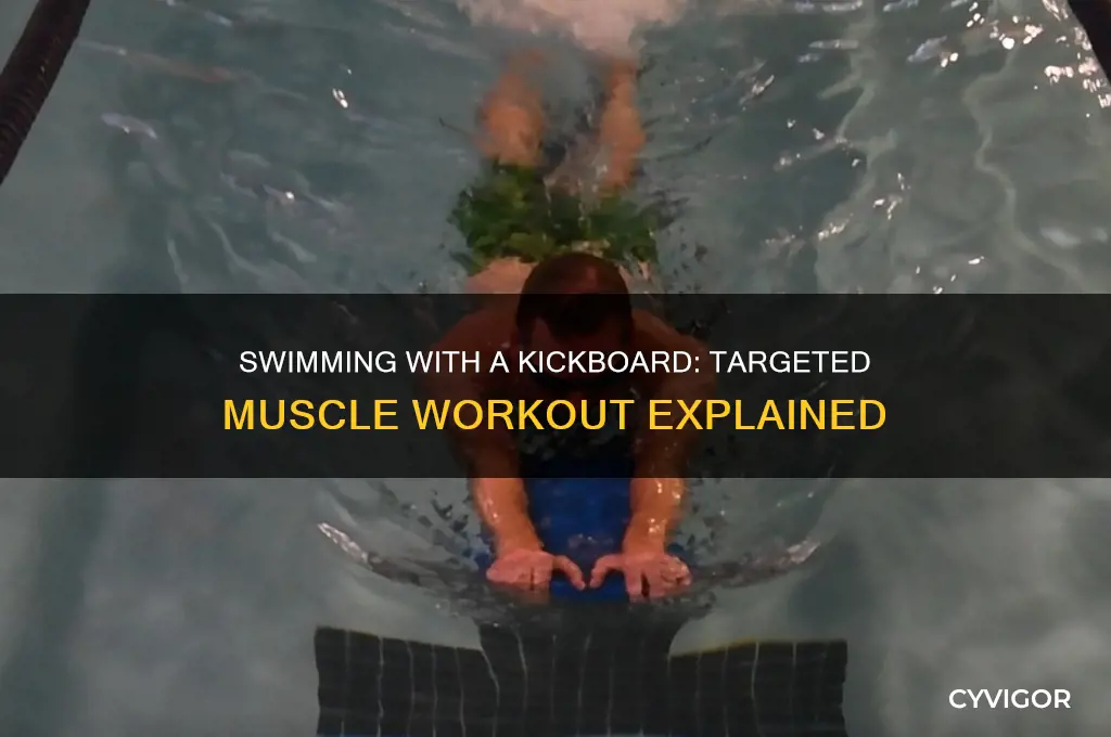 Swimming With A Kickboard: Targeted Muscle Workout Explained | CyVigor