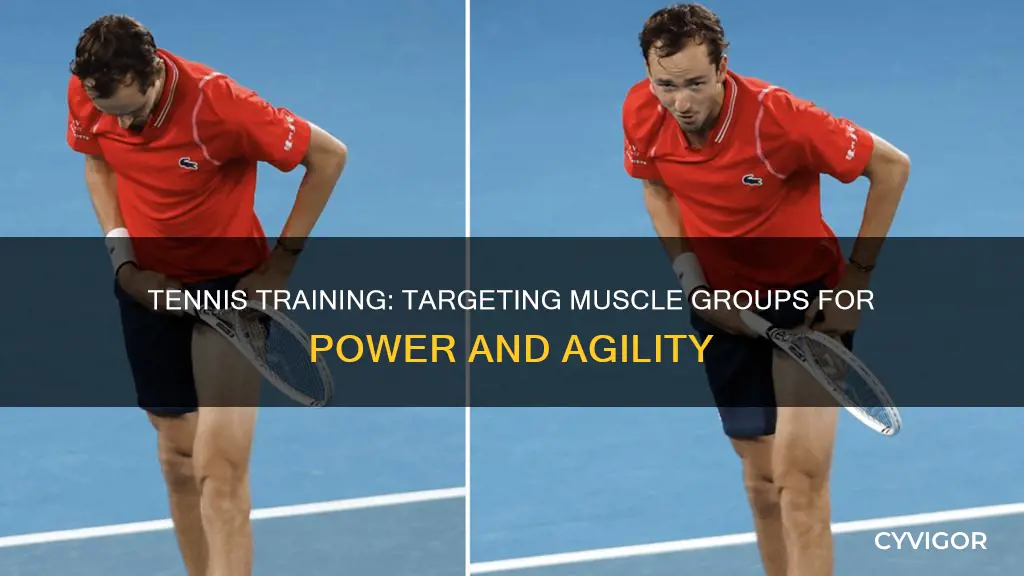 Tennis Training: Targeting Muscle Groups For Power And Agility | CyVigor