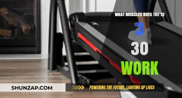 Tae Bo Workout Benefits: Targeted Muscles And Full-Body Fitness ...