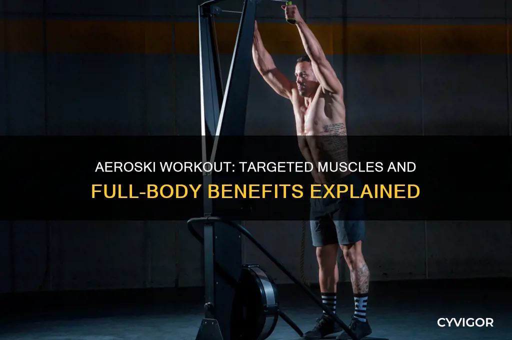 Aeroski Workout: Targeted Muscles And Full-Body Benefits Explained ...