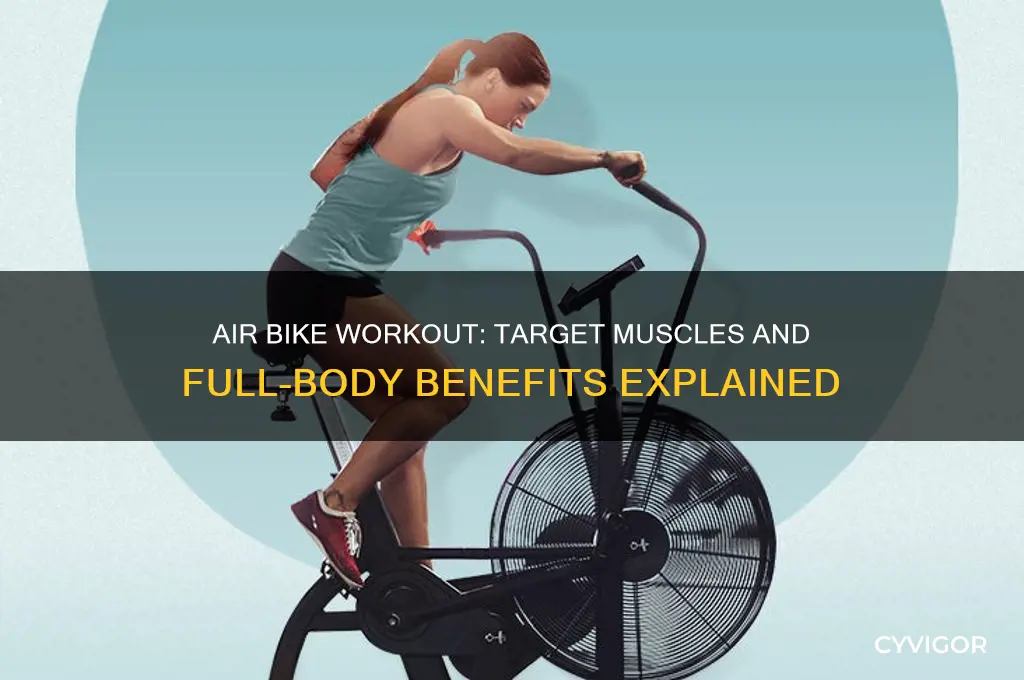 Air Bike Workout: Target Muscles And Full-Body Benefits Explained | CyVigor