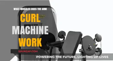 Abductor Adductor Machine: Targeted Muscles And Workout Benefits ...
