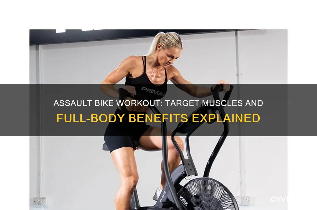Assault Bike Workout: Target Muscles And Full-Body Benefits Explained ...