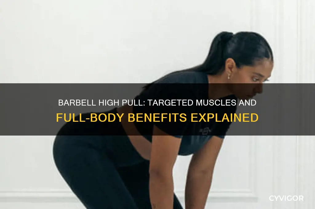 Barbell High Pull: Targeted Muscles And Full-Body Benefits Explained ...
