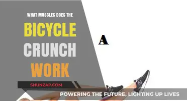 Bicycle Crunch Muscles: Targeting Abs, Obliques, And Core Strength ...