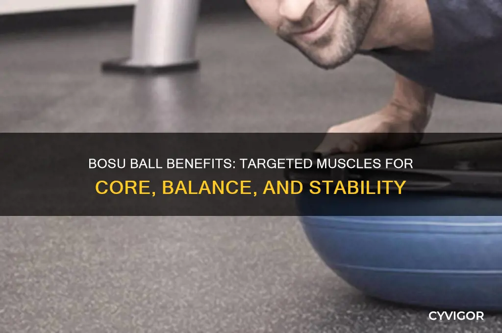 Bosu Ball Benefits: Targeted Muscles For Core, Balance, And Stability ...