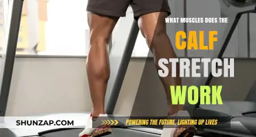 Cat Stretch Benefits: Targeted Muscles And Flexibility Explained | CyVigor