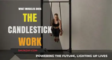 Muscles Targeted By The Clean: A Comprehensive Breakdown Of Strength ...
