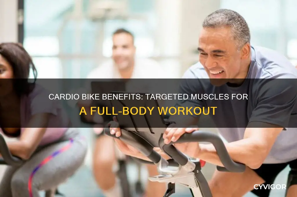 Cardio Bike Benefits: Targeted Muscles For A Full-Body Workout | CyVigor